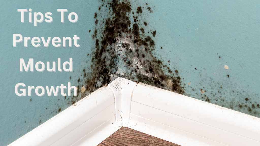 Tips to Prevent Mould Growth in UK Homes - Jantex Furnishing Company ...